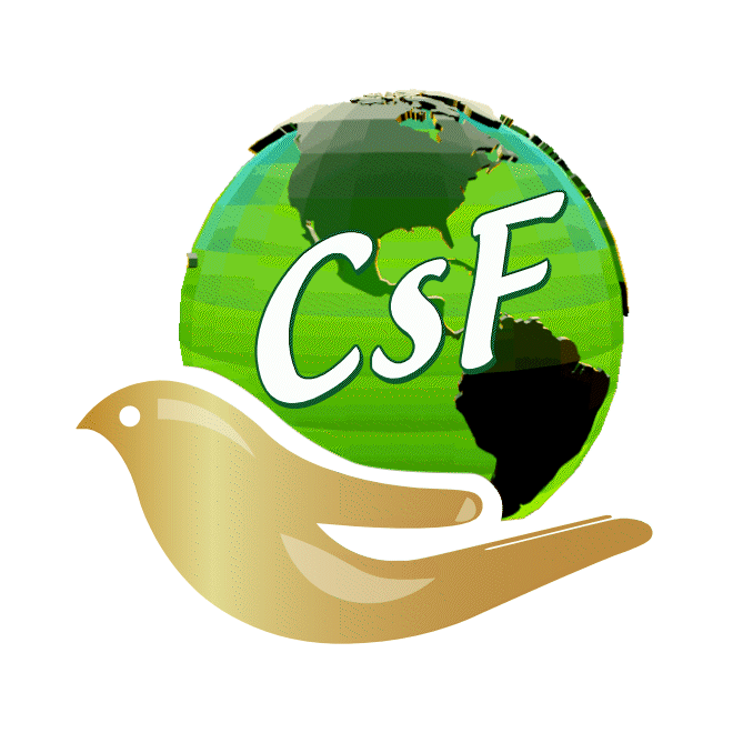 SaludArte | Clínicas Sin Fronteras